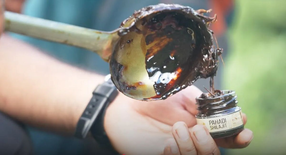 A Look Into Our Shilajit-Making Process