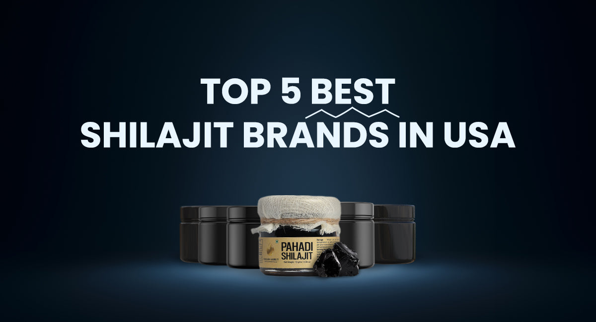 Top 5 Best Shilajit Brands In USA [Updated 2026]