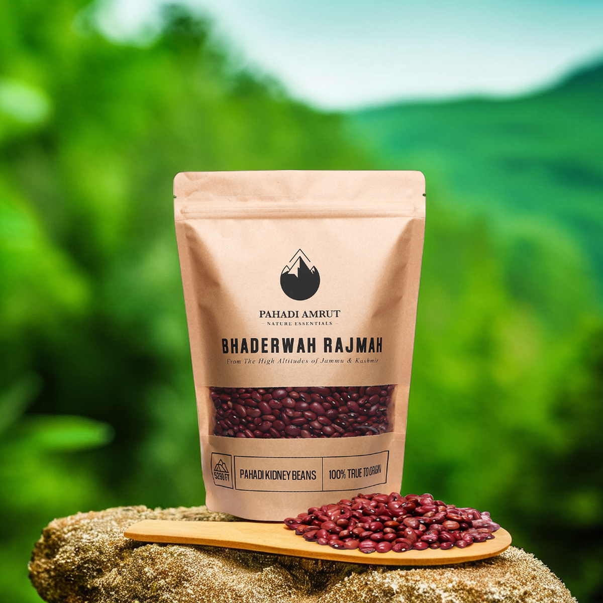 Buy Pure Bhaderwah Rajma Online At Best Price