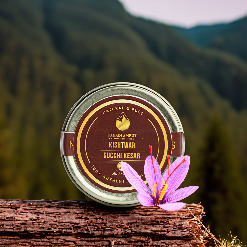 Pure Kishtwar Gucchi Kesar: Authentic Kashmiri Saffron