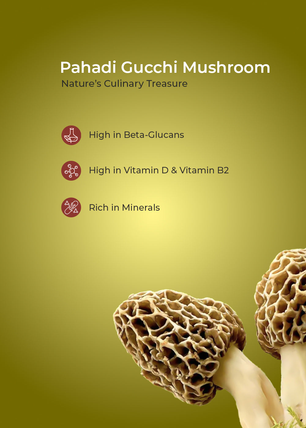 Buy Premium Himalayan Morel/Gucchi Mushrooms - Pahadi Amrut